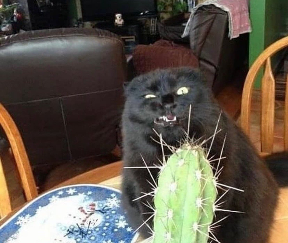 這什麼東西 https://www.instagram.com/p/C7M0K3lPXZC/?ig… | 4Gamers